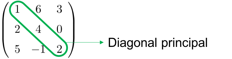 ¿Cuáles son todos los tipos de matrices? (con ejemplos)